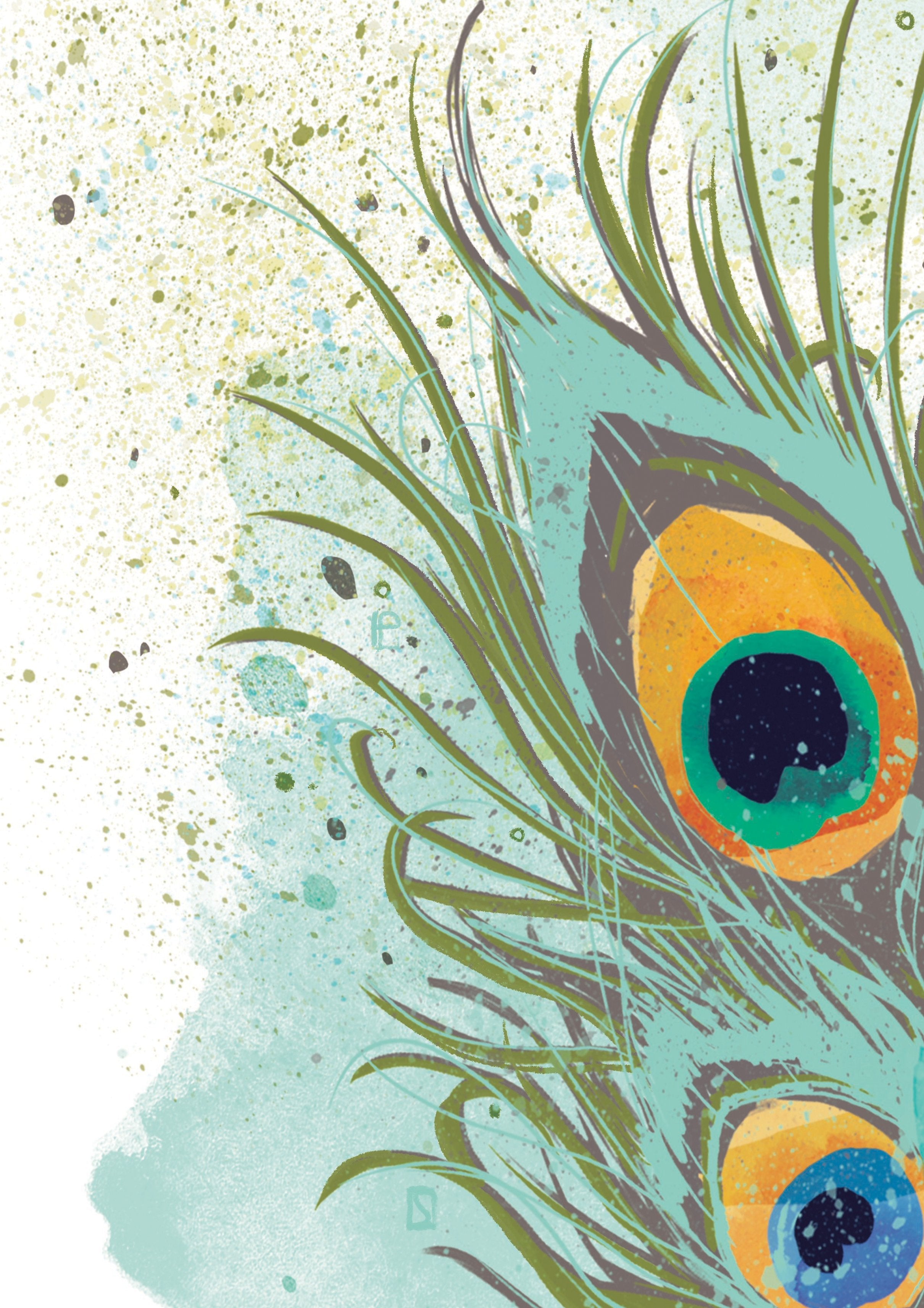 All Grace Chocolate Products